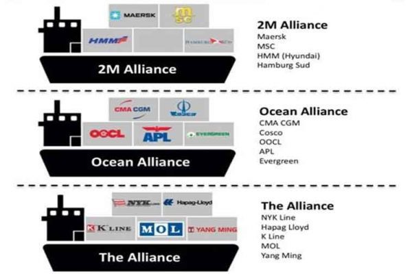Các Chủ Hàng Mỹ Kiện Hãng Tàu MSC Và COSCO Bởi Chi Phí Tăng Cao ...