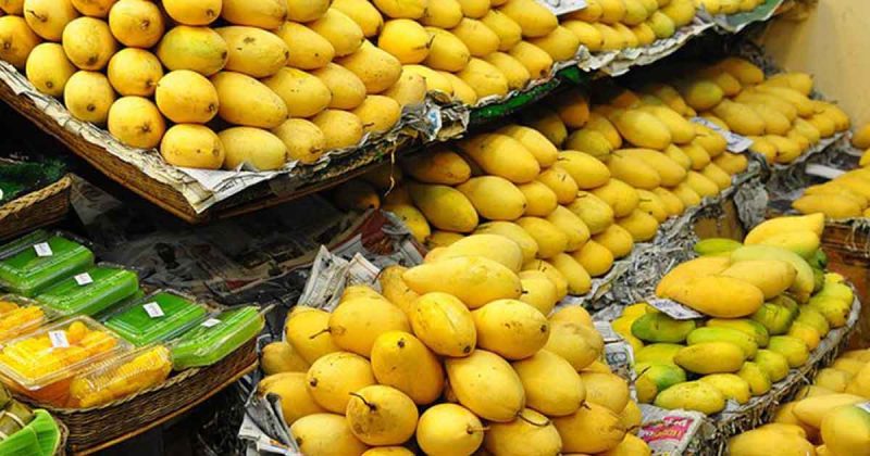 Indian mango exports looking fruitful as transport costs start to fall ...